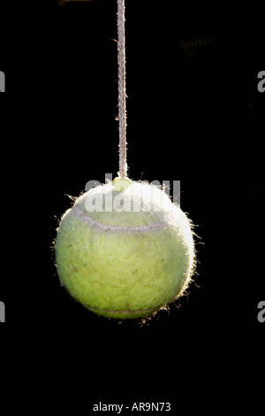 TOTEM TENNIS BALL ON A STRING BACKLIT Stock Photo - Alamy