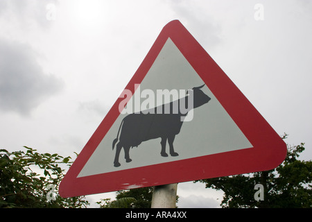 Cow Warning sign red. Farm Hazard attention symbol. Danger road sign ...