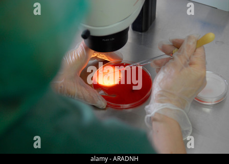 In vitro fertilization (IVF) process, illustration Stock Photo - Alamy