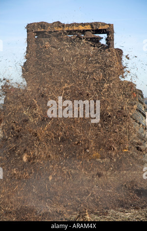 Rear view of tractor muck spreading over field of stubble Suffolk ...