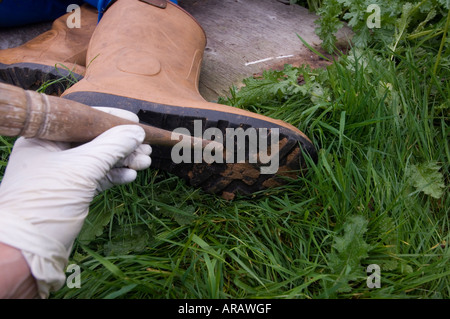 Forensic Scientist collecting evidence from sole of muddy shoe Stock ...