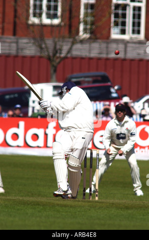 J LEWRY SUSSEX Stock Photo - Alamy