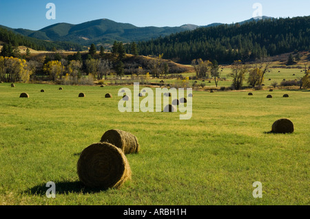 Hay bales,Warm Springs Creek, Judith Mtns. near Lewistown, Montana ...