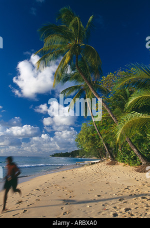 Mullins Beach - tropical beach on the Caribbean island of Barbados. It ...