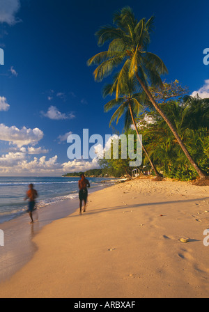 Mullins Beach - tropical beach on the Caribbean island of Barbados. It ...