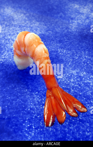 peeled prawns PRAWN just only solo single Stock Photo - Alamy