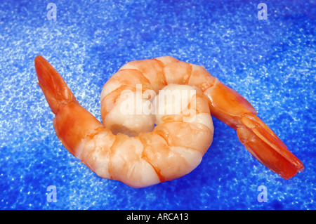 peeled prawns PRAWN just only solo single Stock Photo - Alamy