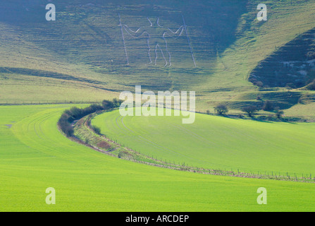 England, East Sussex, Wilmington, The Longman figure carved into the ...