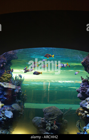 WISCONSIN Milwaukee Aquatarium exhibits at Discovery World museum at ...