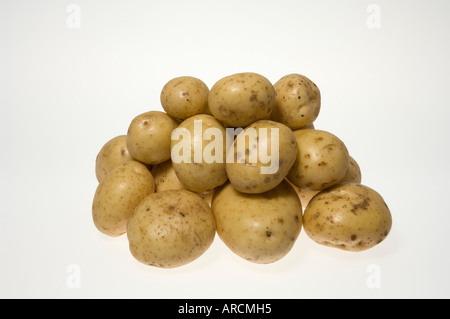 A pile of clean new potatoes Stock Photo - Alamy