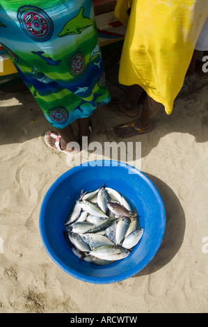 Fresh fish just caught, Tarrafal, Santiago, Cape Verde Islands, Africa ...