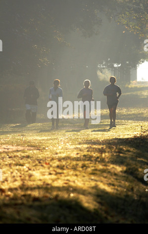 Autumn forest with morning mist and runners on a path in the back light ...