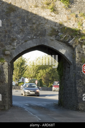 Swan Gate Athenry Co Galway www osheaphotography com Stock Photo - Alamy