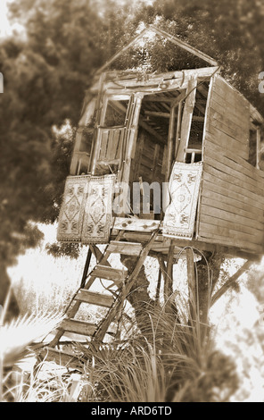 Ramshackle tree house Akyaka Turkey Stock Photo - Alamy