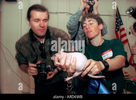 Northeast Rat and Mouse Club annual Rat and Mouse National Show Stock ...