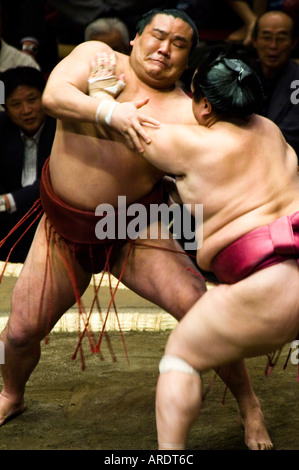 Sumo wrestlers grapple at the Ryogoku stadium in Tokyo Japan Stock ...