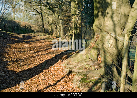 ebbw valley walk long distance footpath signpost manmoel ebbw valley ...