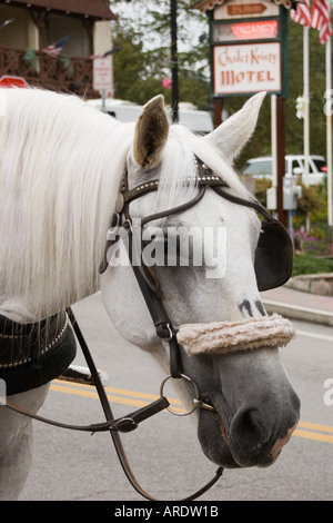 Horse Drawn Carriage Helen Georgia USA Stock Photo - Alamy