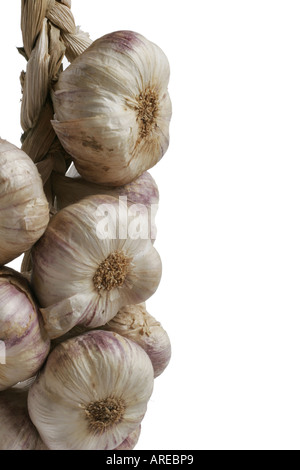 garlic string isolated on a white background with shadow Stock Photo ...