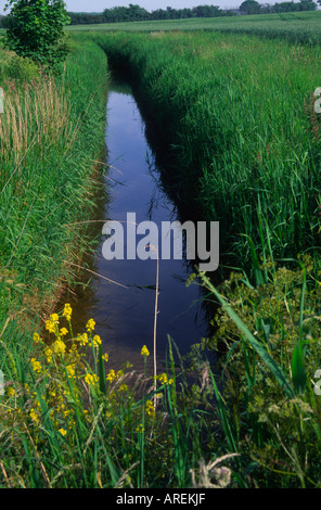 Drainage Ditch in field Stock Photo - Alamy