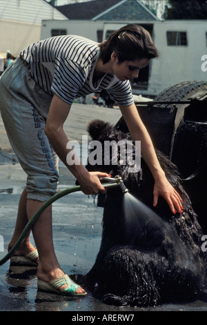 Female animal trainer w small bear Stock Photo - Alamy