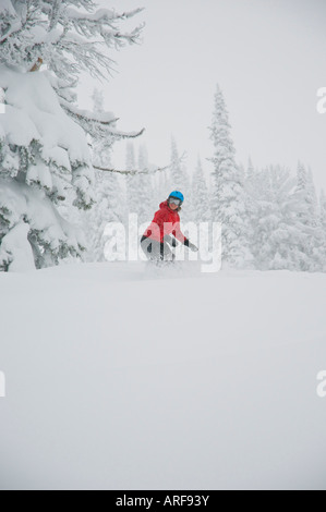 Idaho. A happy snowboarder enjoys a fresh powder day in the mountains ...