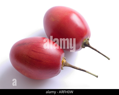 Tamarillos (Solanum betaceum, Cyphomandra betacea) hung over a branch ...