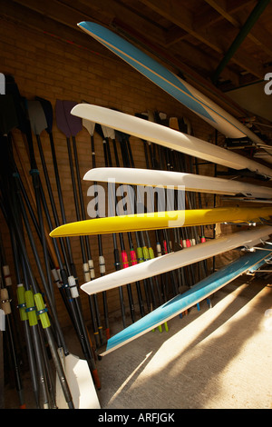 A rack of rowing oars Stock Photo - Alamy