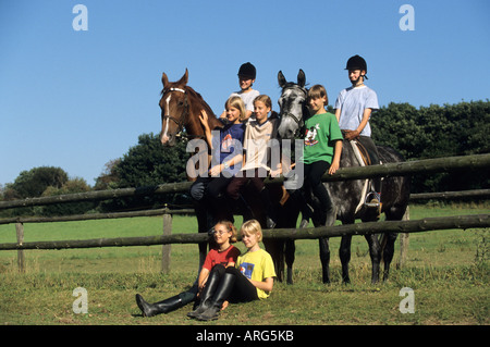 Girls and horses by a wooden fence Trakehner Stock Photo - Alamy
