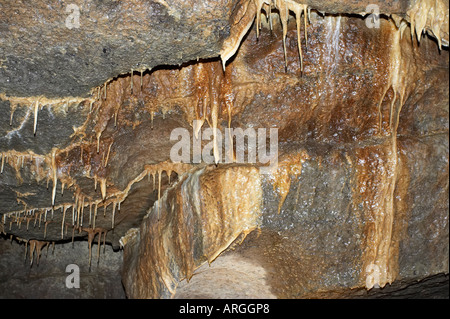 small and soda straw stalactites Stock Photo - Alamy