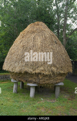 County Clare, Ireland: Hay stack on piled up on stone pedestals ...