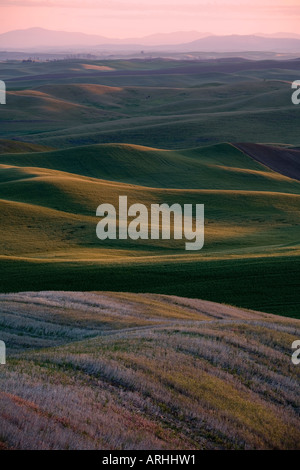 Southern Washington State, USA, farmland in spring Stock Photo - Alamy
