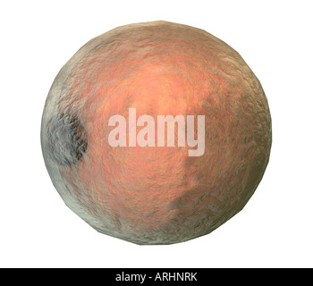 Illustration of a human egg cell (ovum Stock Photo - Alamy