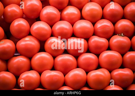 Tomatoes for sale, La Boqueria market, Barcelona, Catalonia, Spain ...
