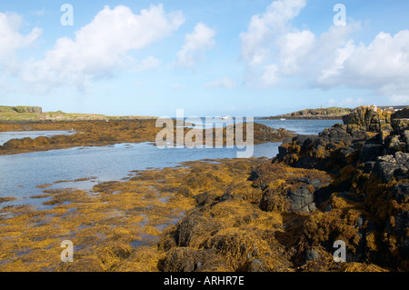 Isle of Mull Croig harbour north west of Mull with fishing and research ...