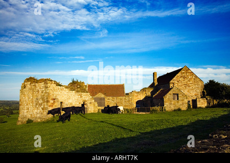 Danby Castle, North York Moors, Scarborough, England, UK Stock Photo ...