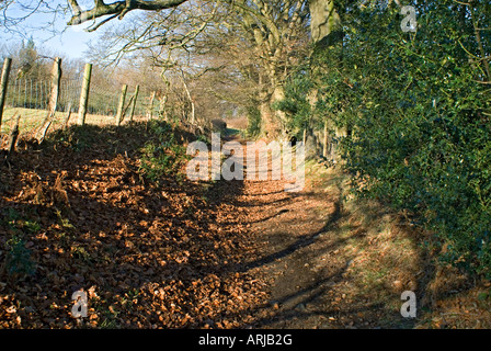 ebbw valley walk long distance footpath signpost manmoel ebbw valley ...