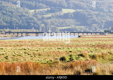 Railway bridge crossing River Dovey Near Dovey Junction Station Stock ...