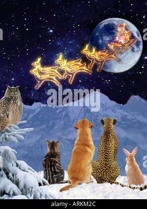 Christmas tree, santa bunny, snow and heart decoration with wooden ...