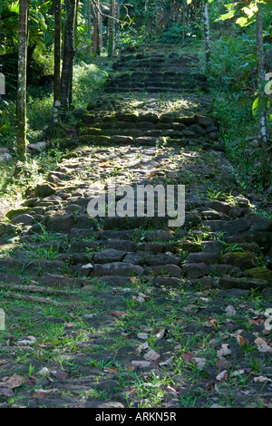 Ancient Stone Walkway Palau Island Stock Photo - Alamy