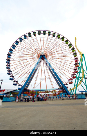Giant Ferris Wheel at Cedar Point Amusement Park at Sandusky Ohio OH ...