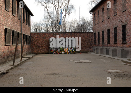Execution wall Auschwitz Stock Photo - Alamy