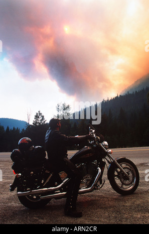 Forest fire, West Kootenays near Cranbrook, British Columbia, Canada ...