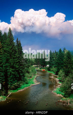 Forest fire, West Kootenays near Cranbrook, British Columbia, Canada ...