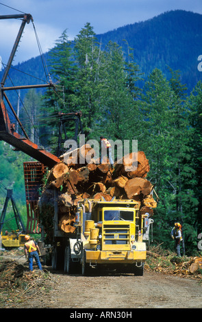 Logging trucks haul cedar above Carmanah Valley, Vancouver Island ...