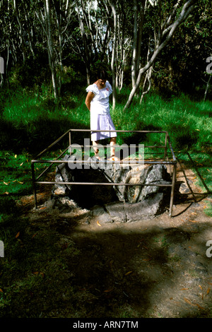 Tree mold, Hawaii Volcanoes National Park, Hawaii Stock Photo - Alamy