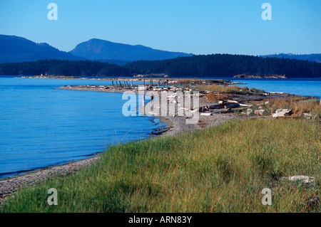 Beach at Sidney Spit, Gulf Islands National Park Reserve of Canada ...