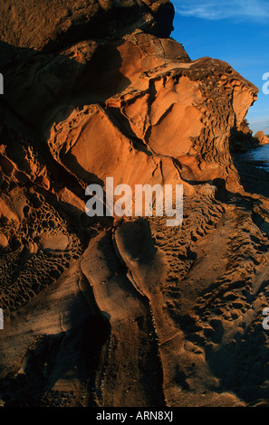 Gulf Islands, Tumbo Island sandstone shoreline formations, British ...