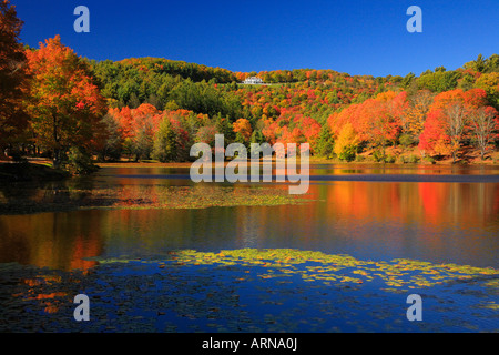 Moses Cone Mansion above Bass Lake, Moses Cone Memorial Park, Blue ...