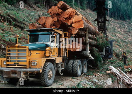 Logging trucks haul cedar above Carmanah Valley, Vancouver Island ...